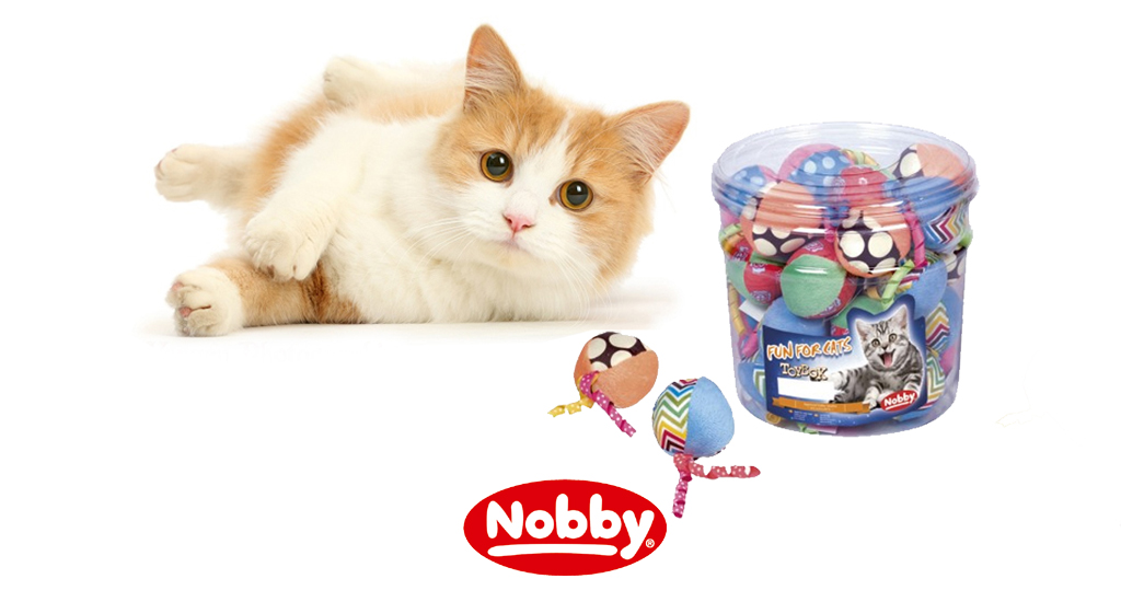 nobbyitalia.it-Home